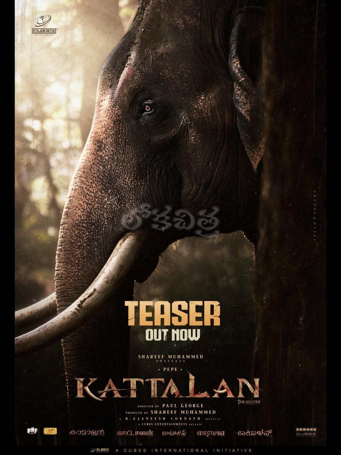 Antony Varghese Roars as Malayalam Cinema's Ultimate Action Star in ...